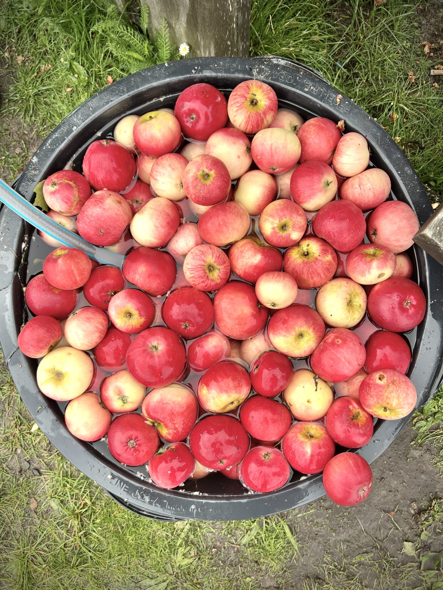 Hvad sker der på Vang havn, når 2 aktiviteter krydser hinanden? - Vang ...